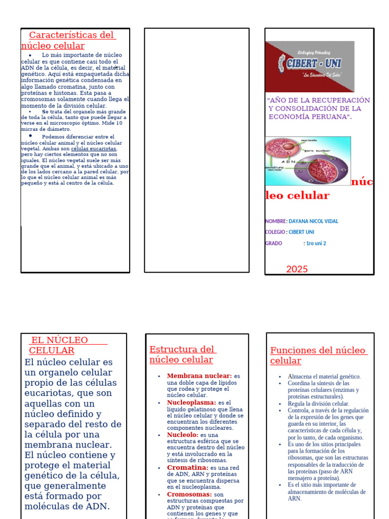 Nucleo Celular... | PDF | Nucleo celular | Biología Celular)