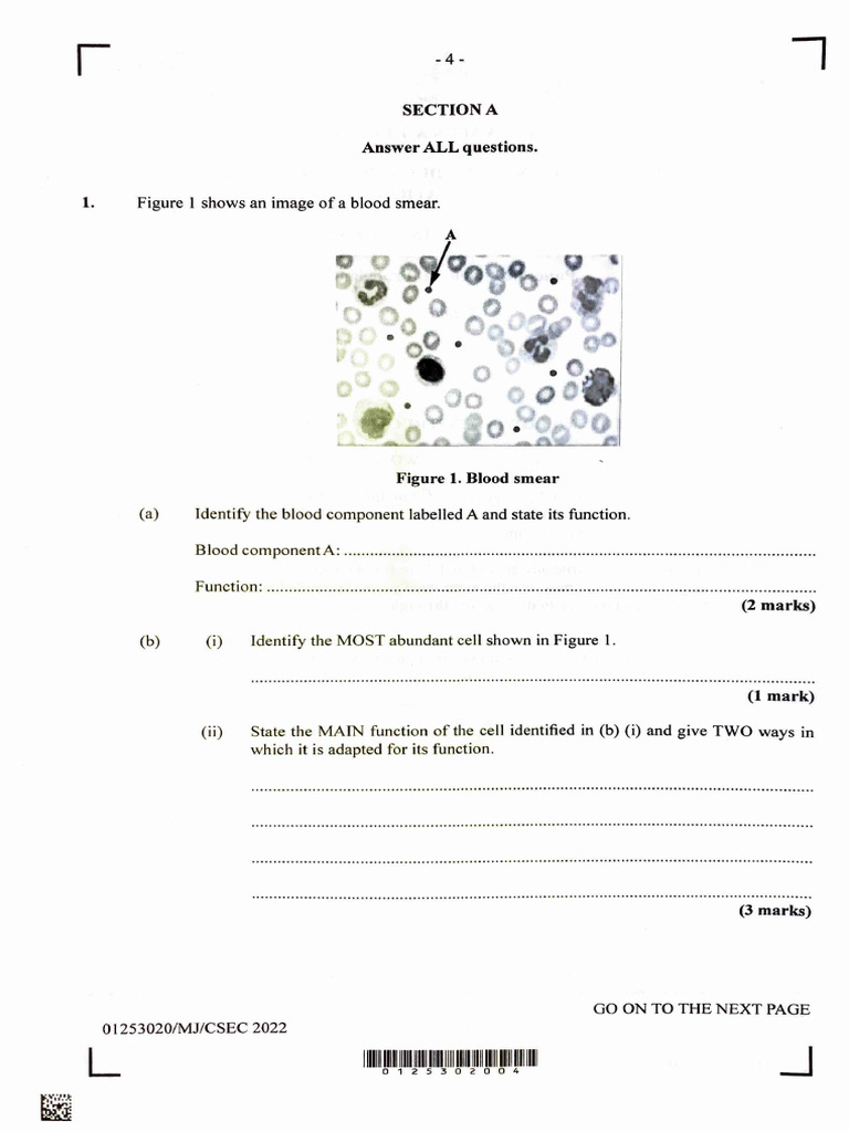 HSB Past Paper Review 1 | PDF