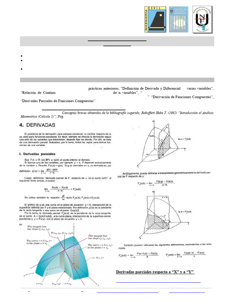 TP #3 Derivadas 2024 | PDF | Derivado | Degradado