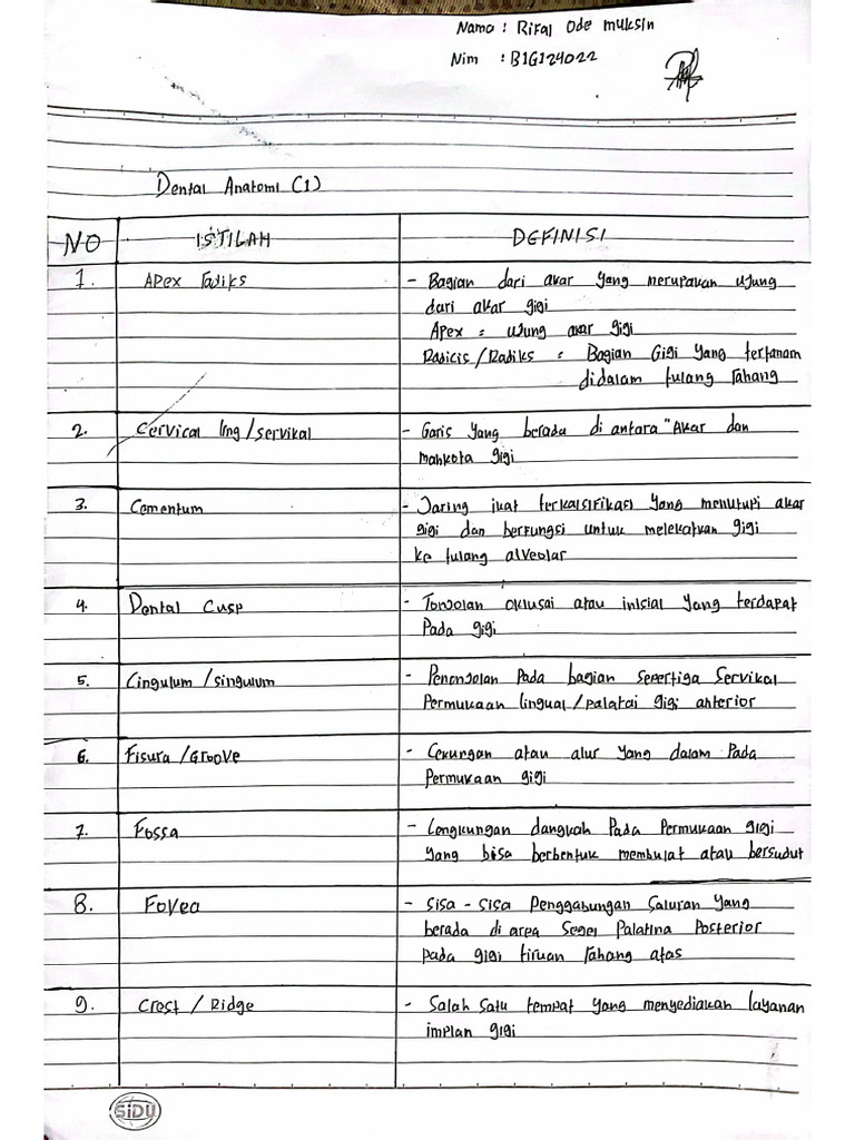 Tugas Dental Anatomi 1 (Rifal Ode Muksin) | PDF