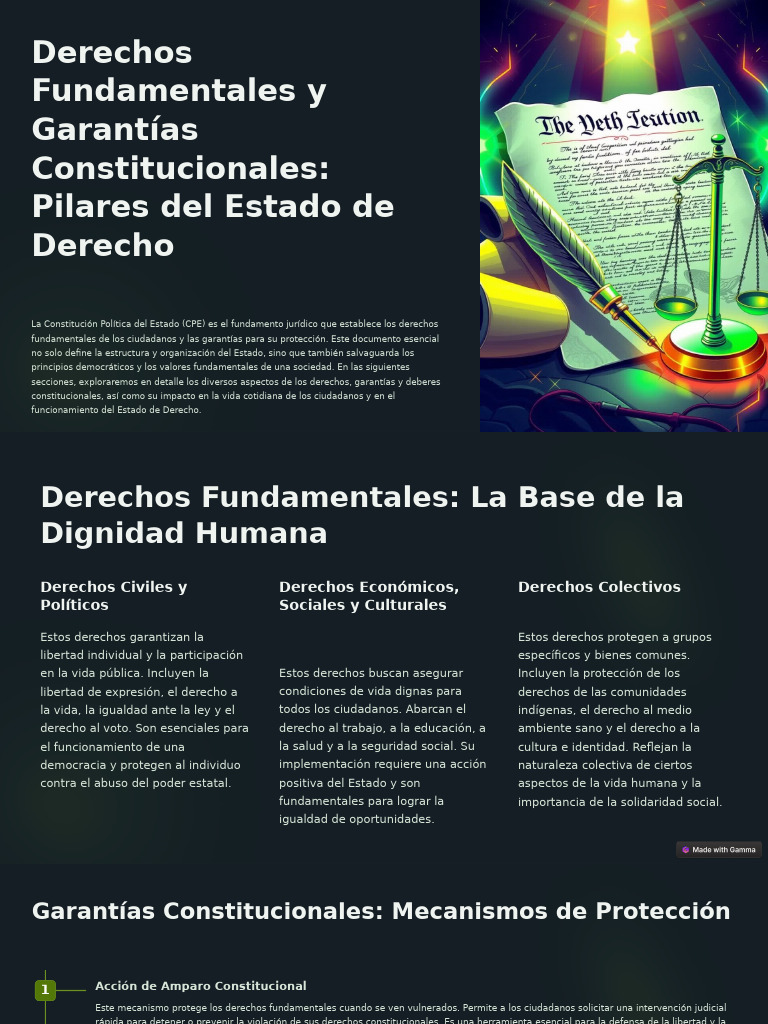 Derechos Fundamentales y Garantias Constitucionales Pilares Del Estado ...