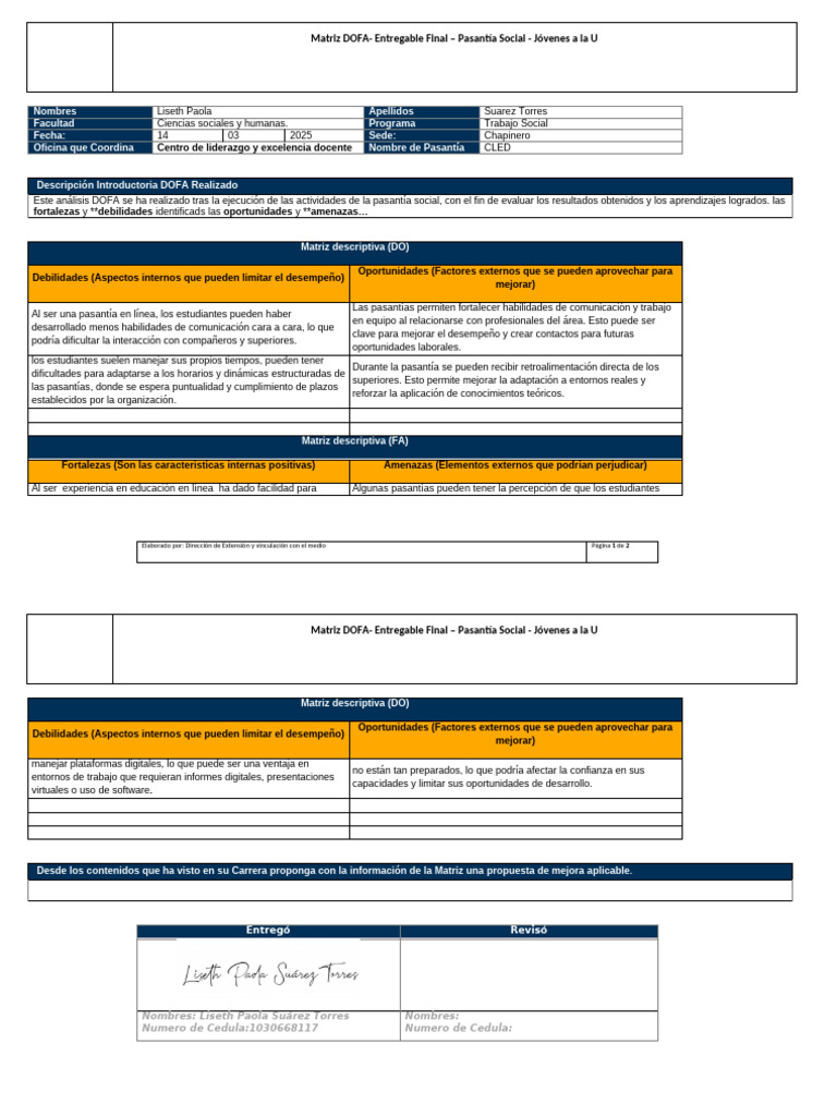 3 Formato_Matriz DOFA_Entregable Final_PS_JU_ | PDF | Análisis FODA ...