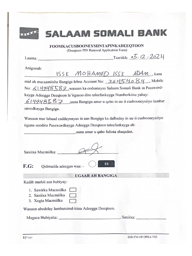 Salaam Somali Bank | PDF