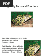 Frog Anatomy: Planes & External Parts | PDF | Anatomical Terms Of Location
