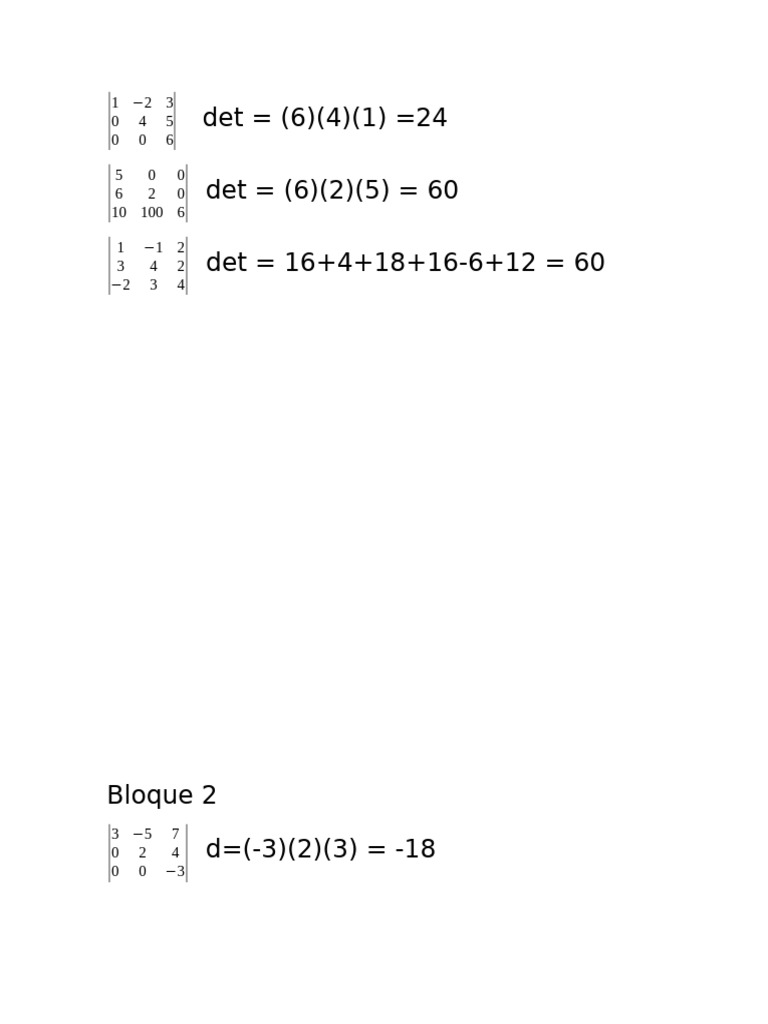 Determinants and Matrix Inverses | PDF