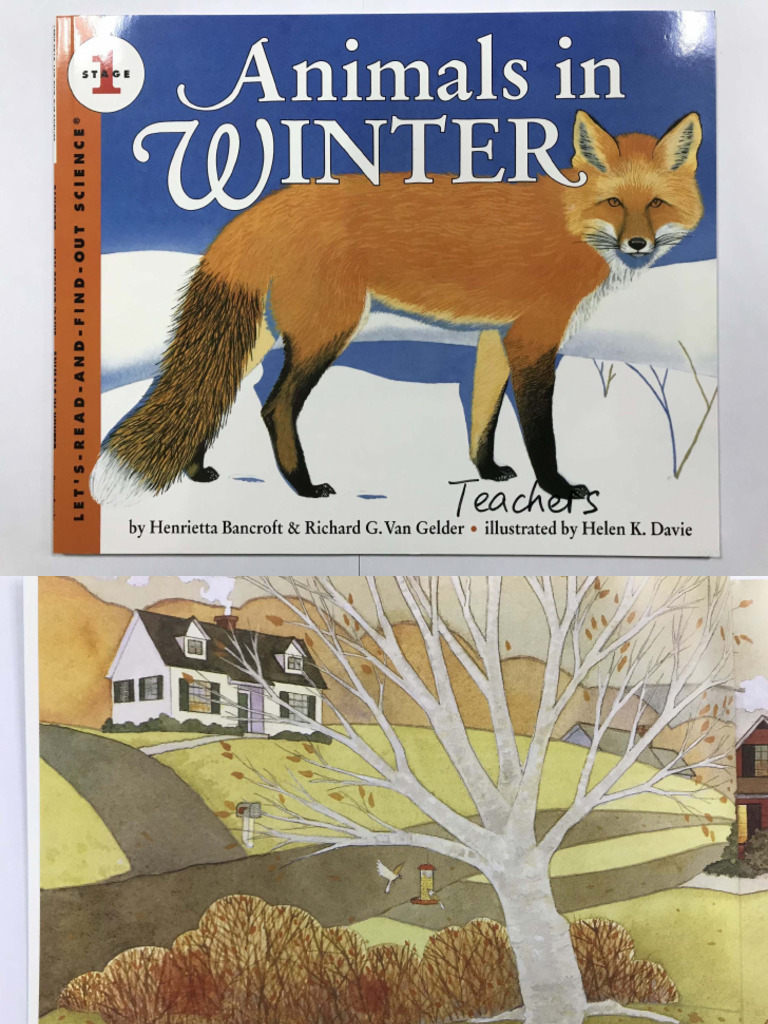 Animals in Winter | PDF