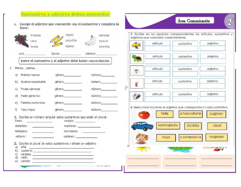 actividad sobre sustantivo y adjetivos | PDF