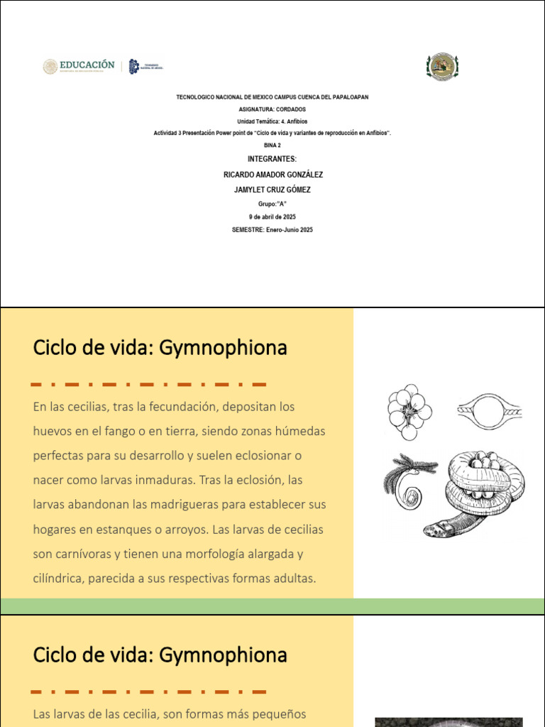 Ciclo de Vida y Reproduccion en Anfibios | PDF | Rana | Zoología