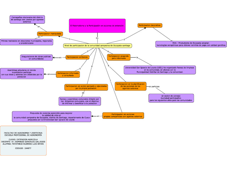 Paternalismo y Niveles de Participacion | PDF