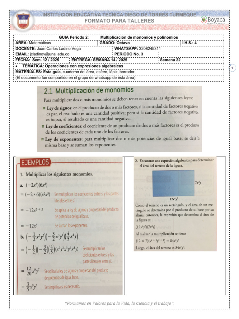 Matemáticas 8vo 2025 Semana 12 | PDF