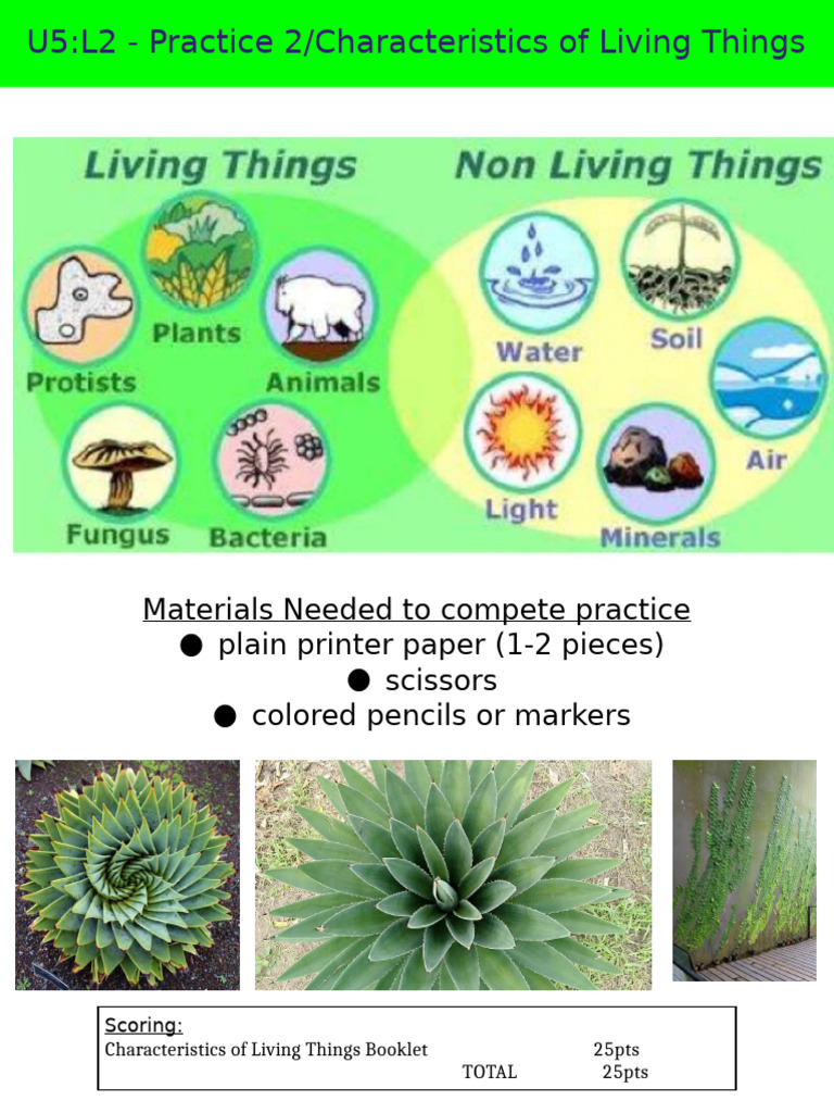 A6:Booklet of Characteristics of Living Things | PDF