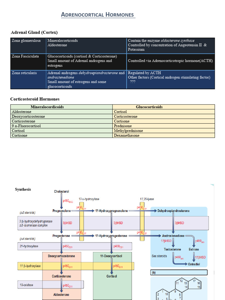 Adrenocortical Hormones Final | PDF | Adrenal Gland | Cortisol