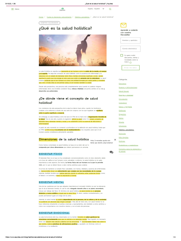 Definición de Salud Holística | PDF | Mente | Holismo