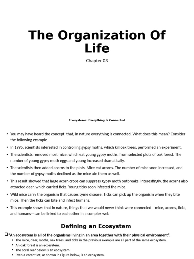 CH 03 The Organization of Life | PDF | Ecosystem | Ecology