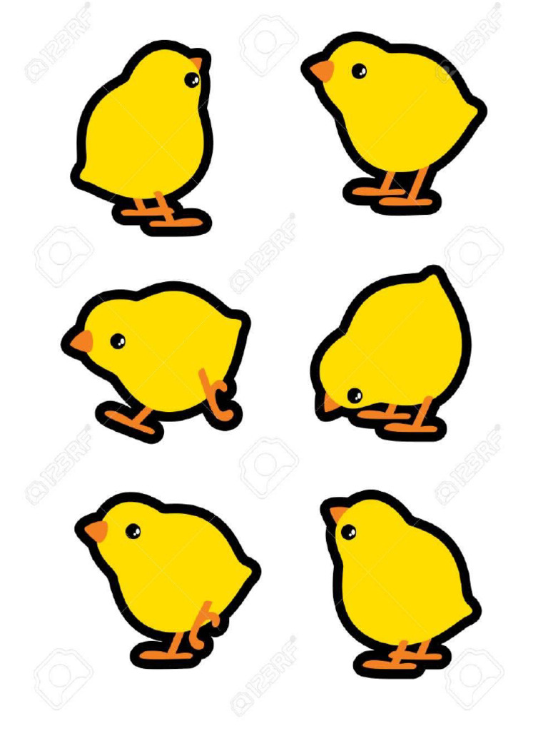 Granja Pollito y Pato | PDF