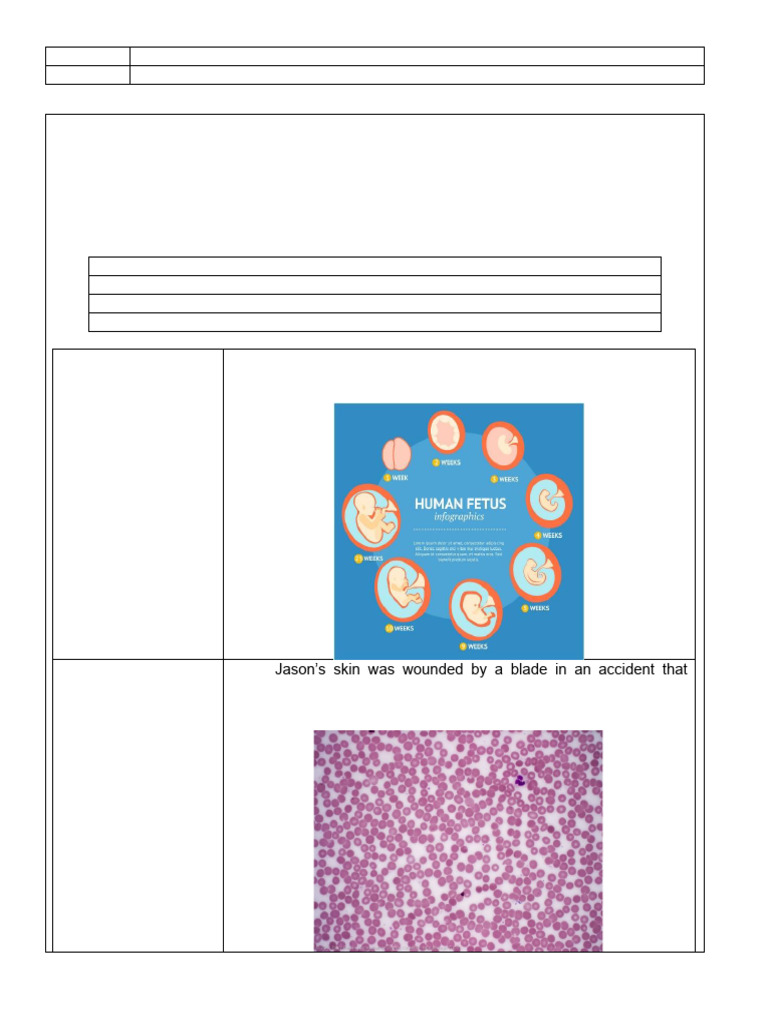 Gb1 SG Cell Theory Activity | PDF