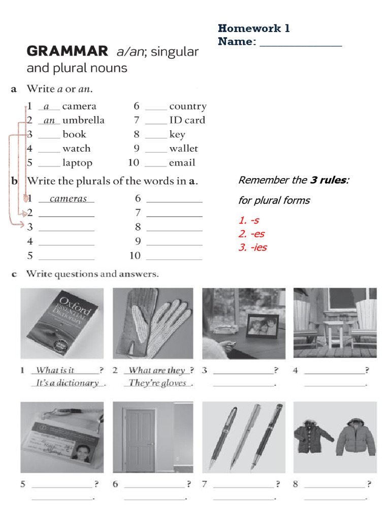 Homework 1 Nouns Singular - Plural | PDF