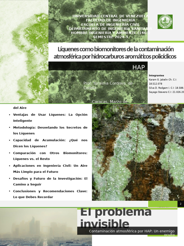 Líquenes como biomonitores de la contaminación atmosférica por | PDF ...