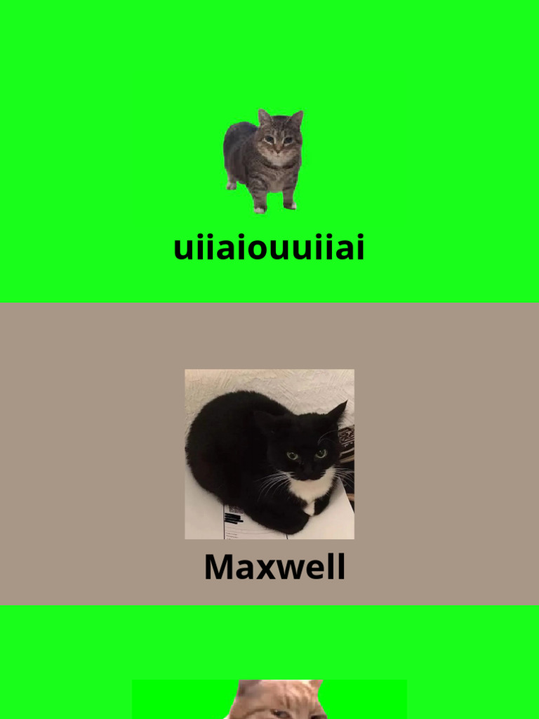 Uiia Maxwell :) ) | PDF