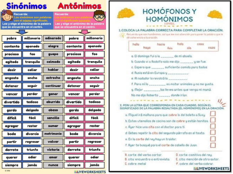 Fichas de Homónimo, Sinónimos y Antónimos | PDF
