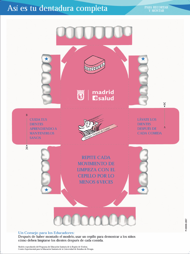 Arcada Dental Completo | PDF
