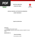 Signos Abdominales en Palpación | PDF | Abdomen | Medicina CLINICA