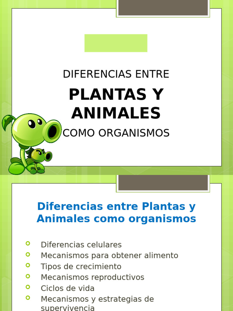 Diferencias entre Plantas y Animales | PDF | Hoja | Plantas