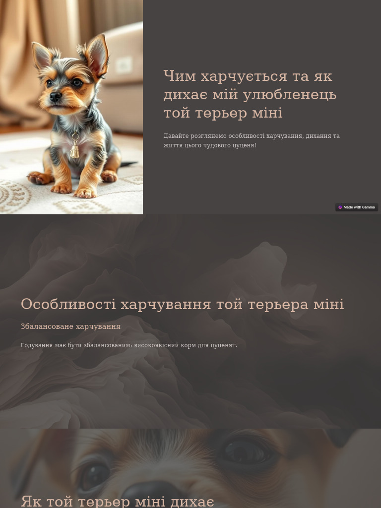 Chim Harchuyetsya Ta Yak Dihaye Mij Ulyublenec Toj Terer Mini | PDF