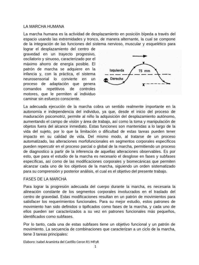 Fases de la Marcha Humana | PDF | Pie | Tobillo