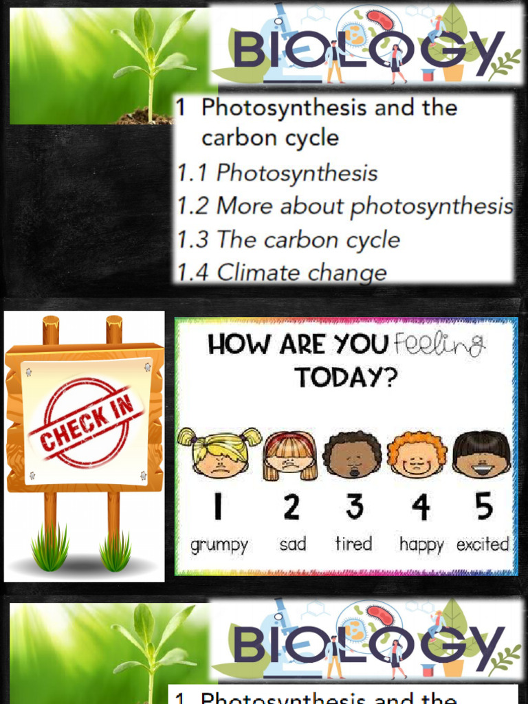 Unit 1 - Photosynthesis and the Carbon Cycle | PDF | Photosynthesis ...