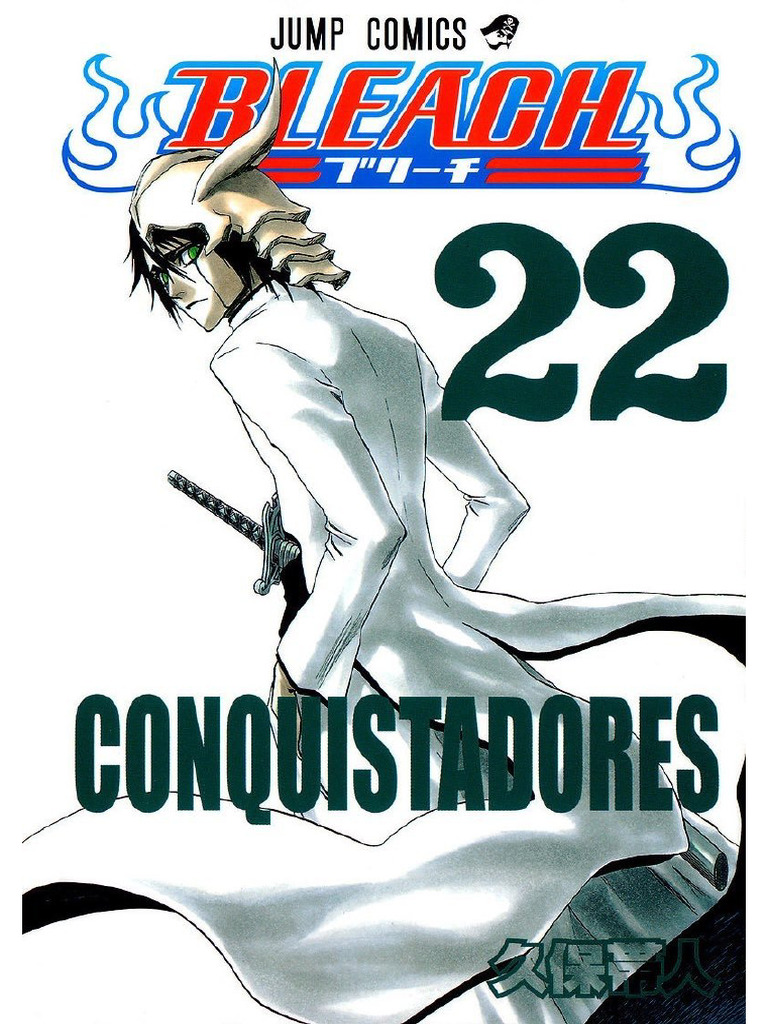 Bleach Vol.22 (En) | PDF