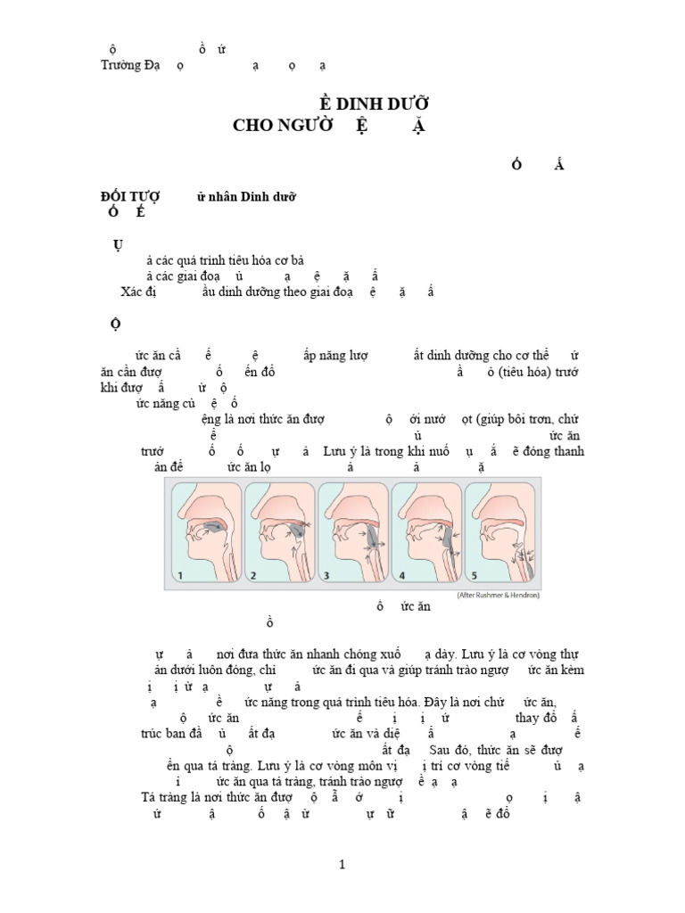 Bản Sao Của 00 - Sinh Ly Dinh Duong Cho Nguoi Benh Nang | PDF