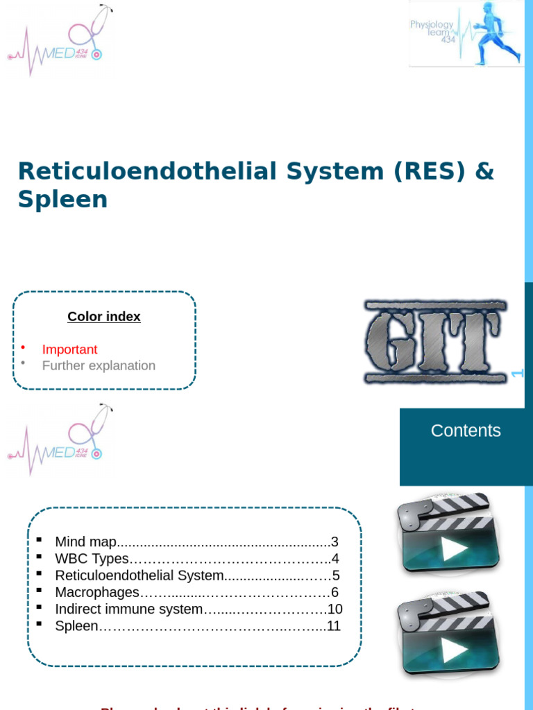 8-Reticuloendothelial System (RES) Paramedical | PDF | Macrophage ...