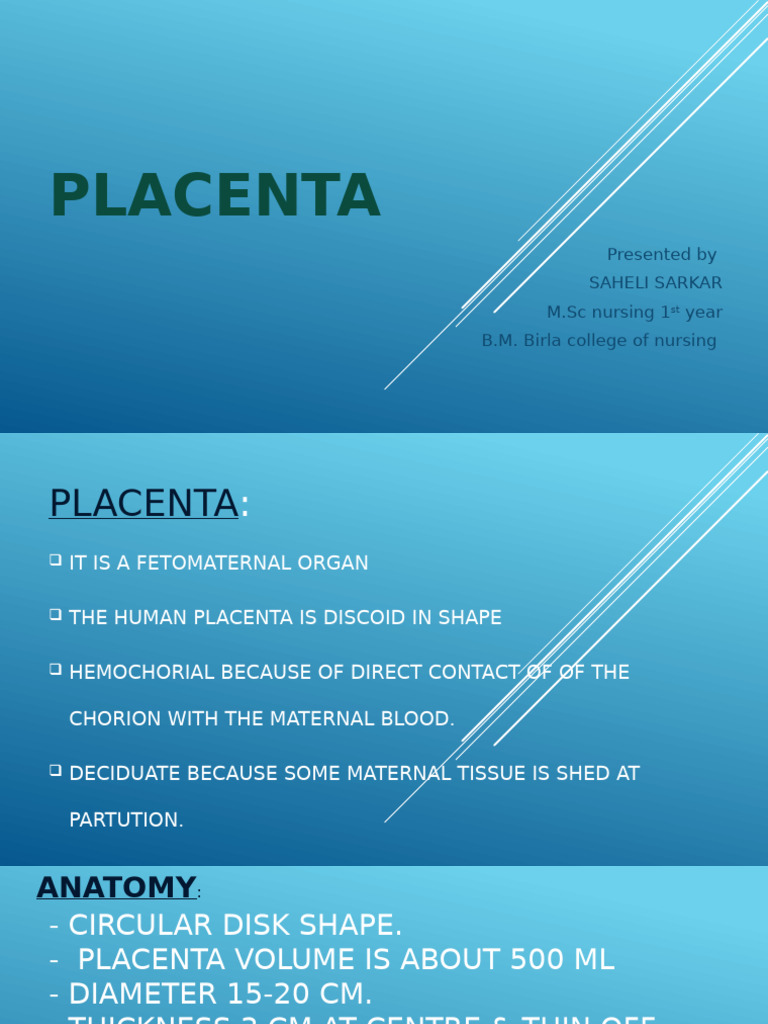 Placenta | PDF | Placenta | Anatomy