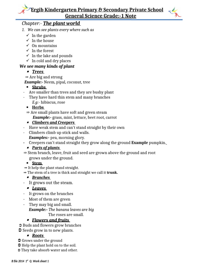 Understanding Plants for Grade 1 | PDF | Trees | Fruit