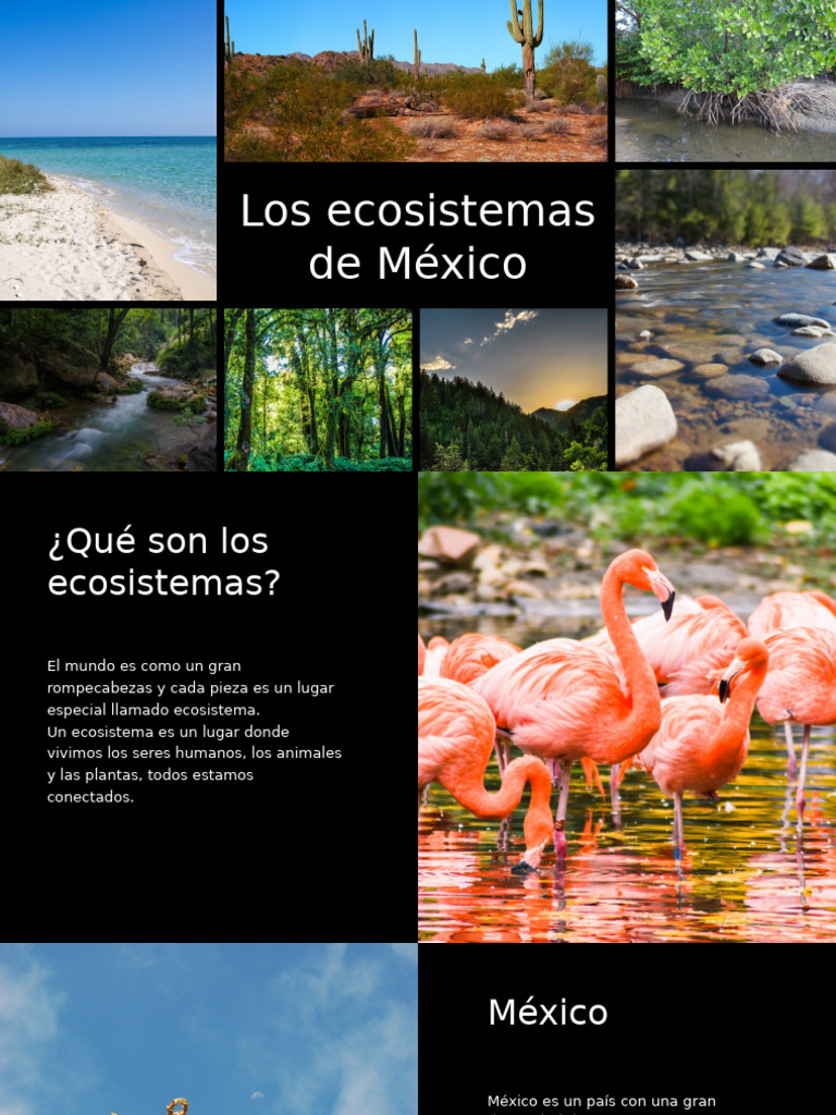 Presentación para Explicación de Los Ecosistemas de México Con Imágenes Estilo Fotográfico ...