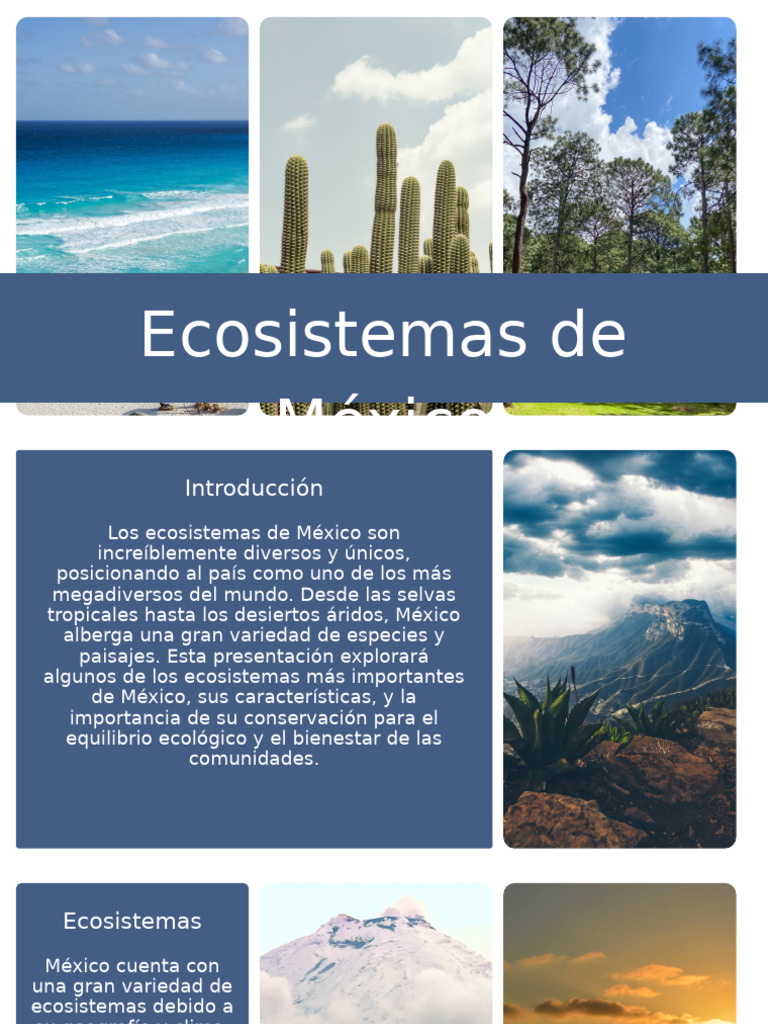 Presentación Ecosistemas de México Simple Azul | PDF | México | Ecosistema