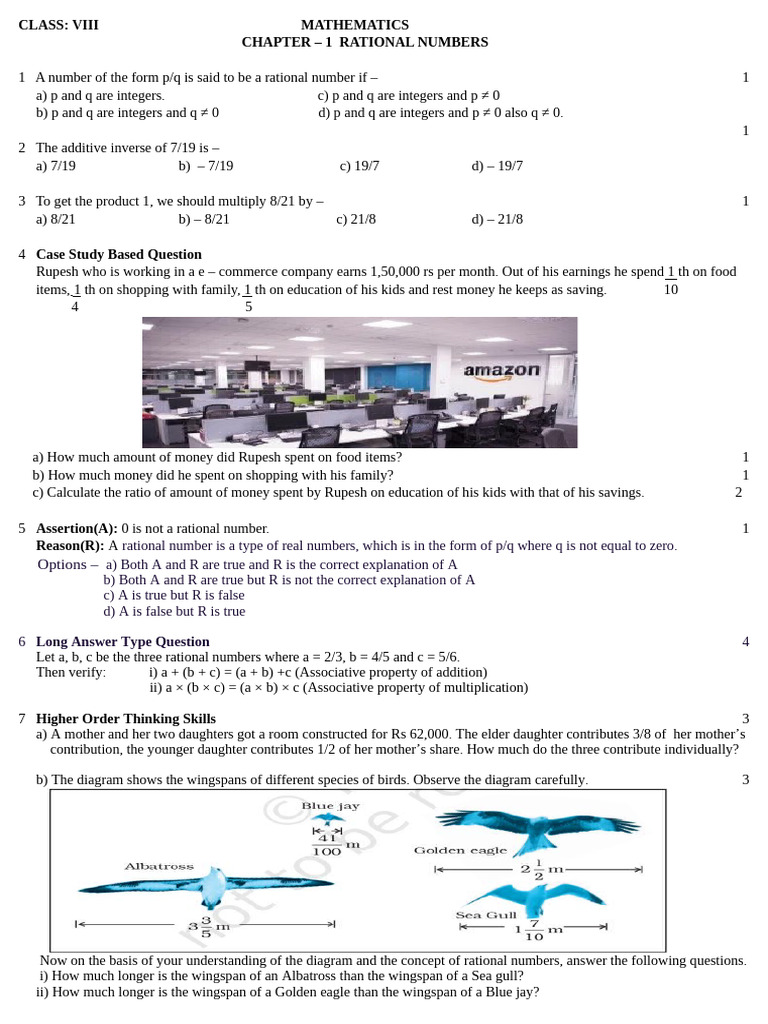 CLASS VIII Mathematics worksheet rational numbers | PDF | Rational ...