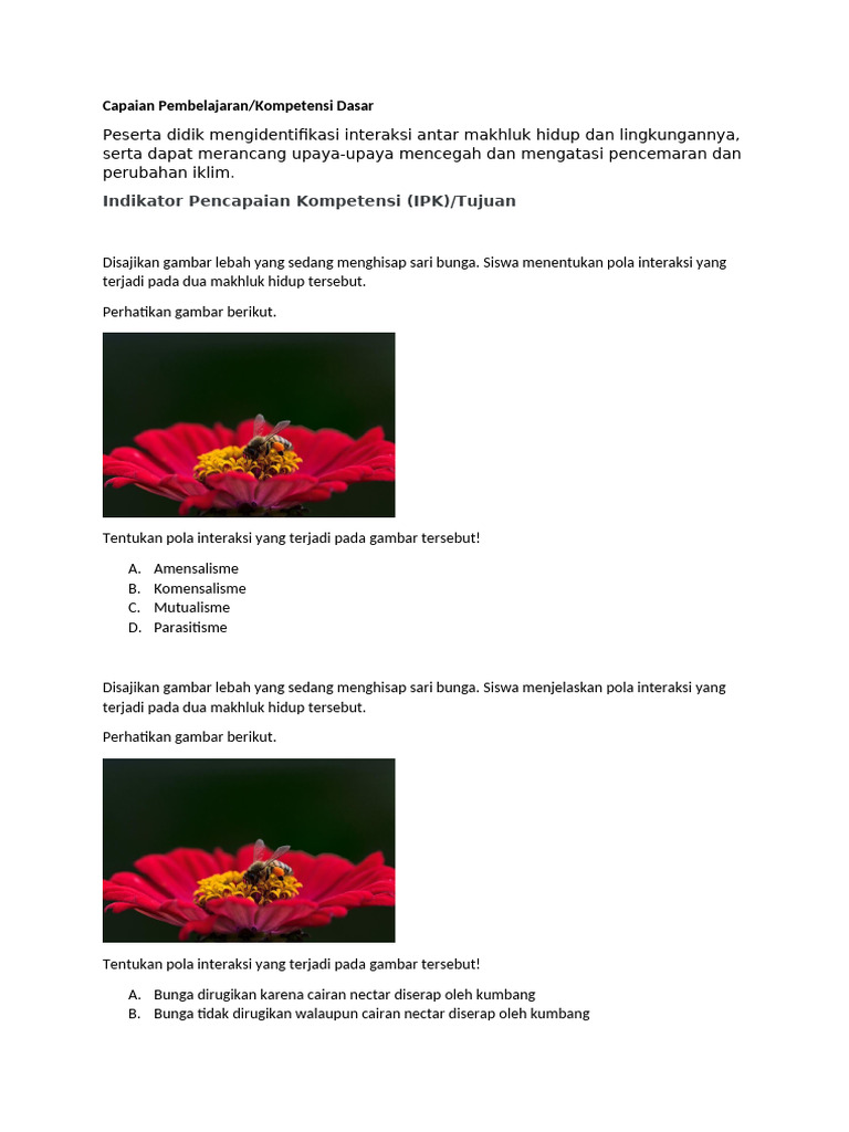 Contoh Indikator Soal Dan Kisi-2025 | PDF
