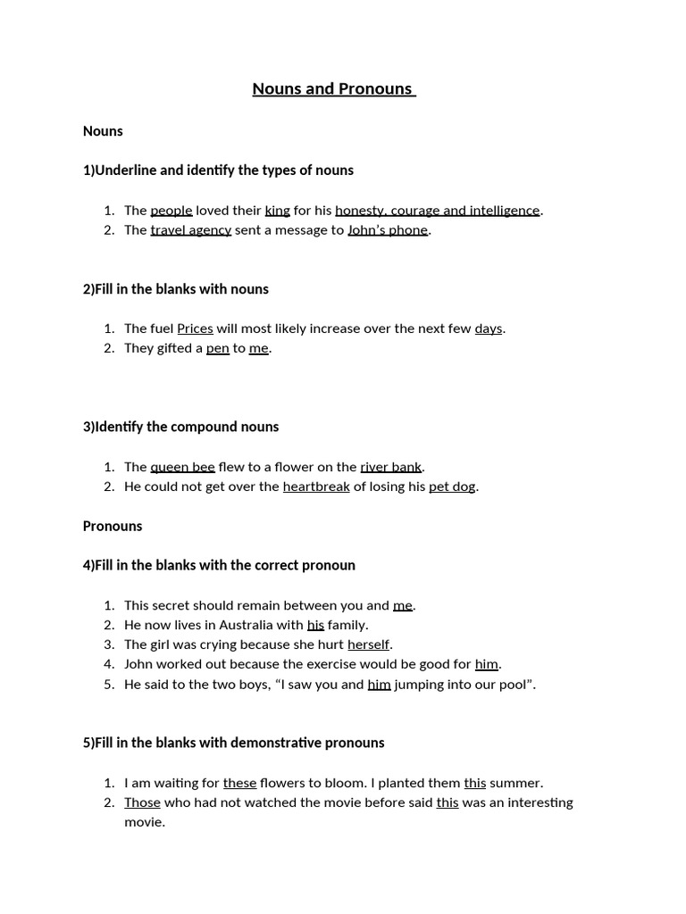 Nouns and Pronouns HW | PDF