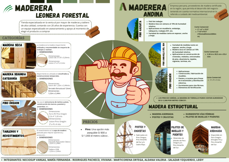 Infografia - Diseño de Madera | PDF