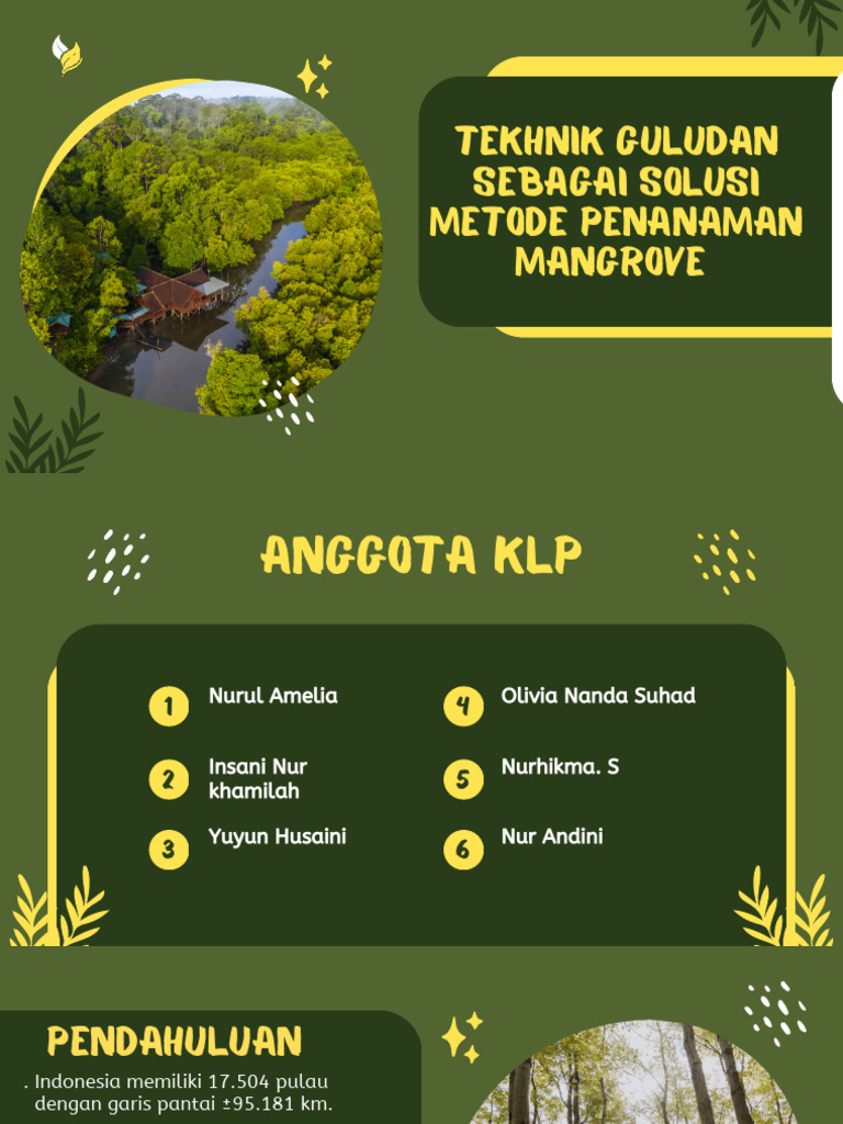 Teknik Guludan untuk Rehabilitasi Mangrove | PDF