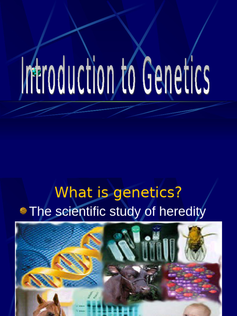 Intro To Genetics .WEEK 1 | PDF | Dominance (Genetics) | Genotype