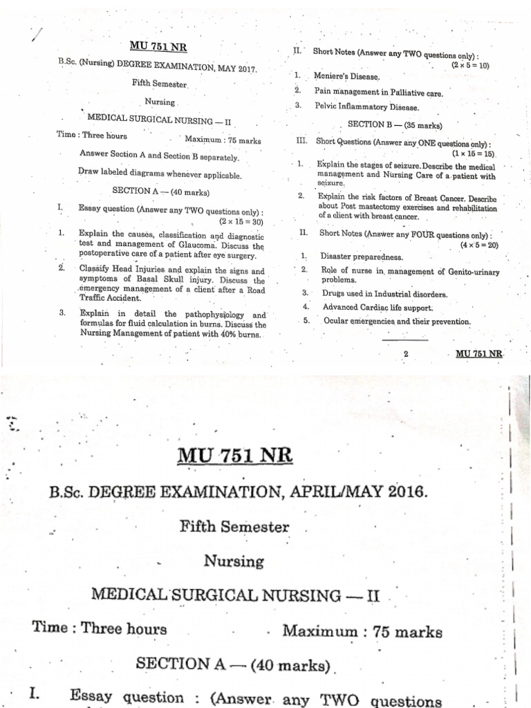 MSN 2 Previous | PDF