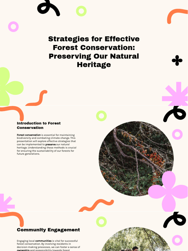 Slidesgo Strategies For Effective Forest Conservation Preserving Our Natural Heritage ...