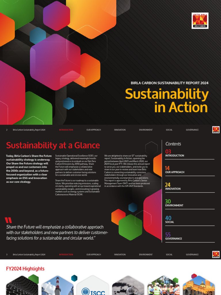 Birla Carbon Sustainability Report 2024 | PDF | Sustainability | Life ...