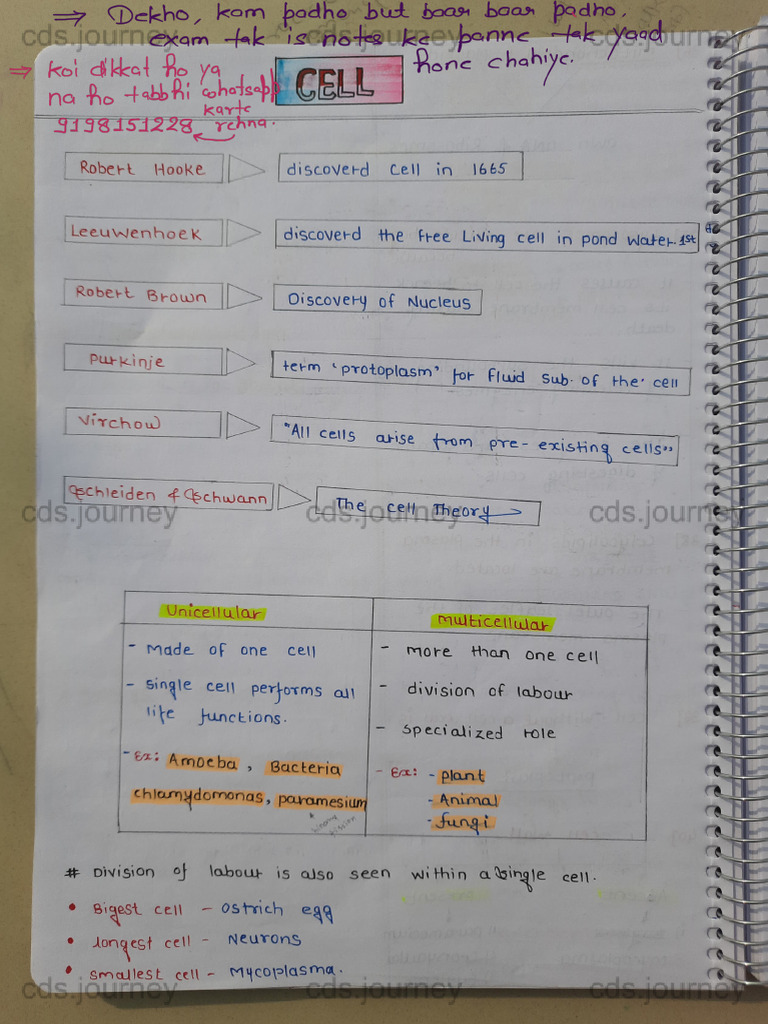 Biology Notes 2024 | PDF