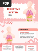Blank 4 Panel Comic Strip | PDF | Biology | Digestive System