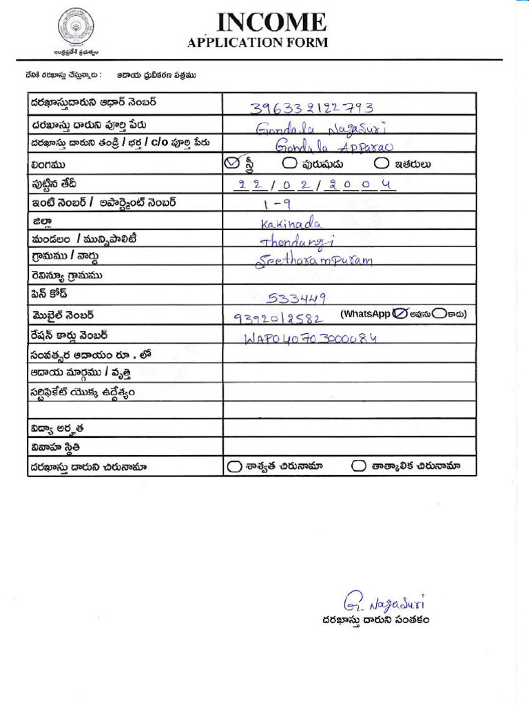 Application Form for Income Verification | PDF