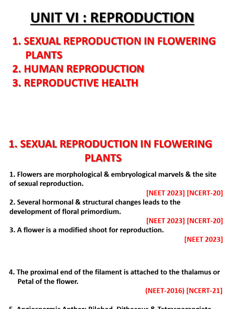 Reproduction: Plants & Humans Overview | PDF | Testicle | Flowers